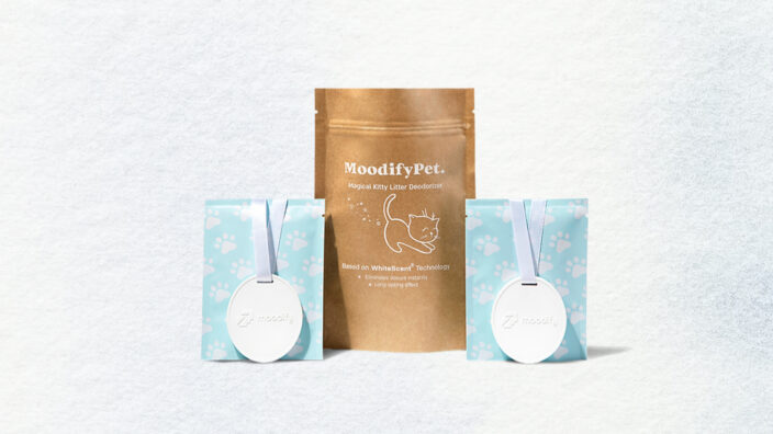 Invest in Moodify private stocks | OurCrowd.com