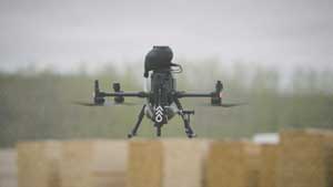 Flash Forest: One million trees in two months | OurCrowd