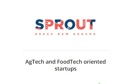 Sprout backs Sapro-Tech, using fungi to produce leather | OurCrowd