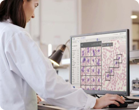 Investing in the Future: Startup and Venture Capital Investments | OurCrowd