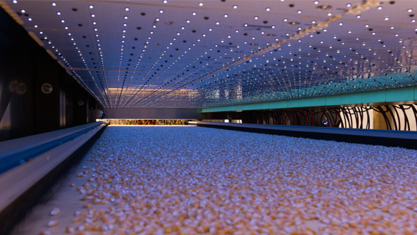 BioLumic oversubscribed funding round accelerates a new category of non ...